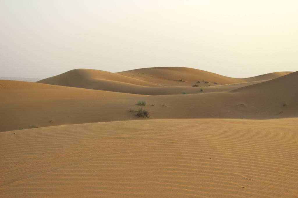 Янтра ДНЕС live | Дубай – съвременната арабска приказка