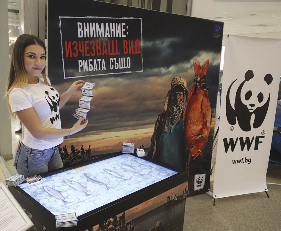 Янтра ДНЕС live | Интерактивна инсталация обучава хората как да си ...